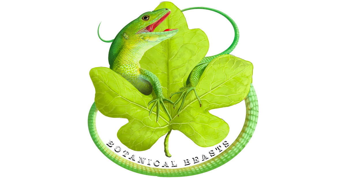 News – Botanical Beasts